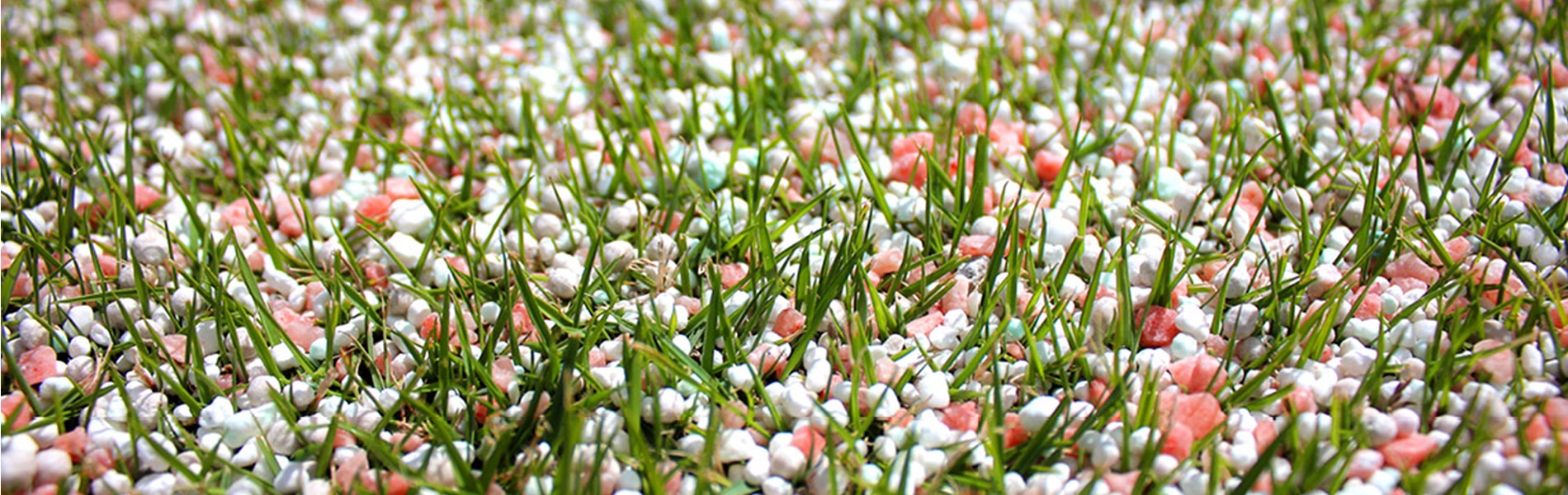 CAN YOU OVER FERTILISE YOUR LAWN? - StrathAyr