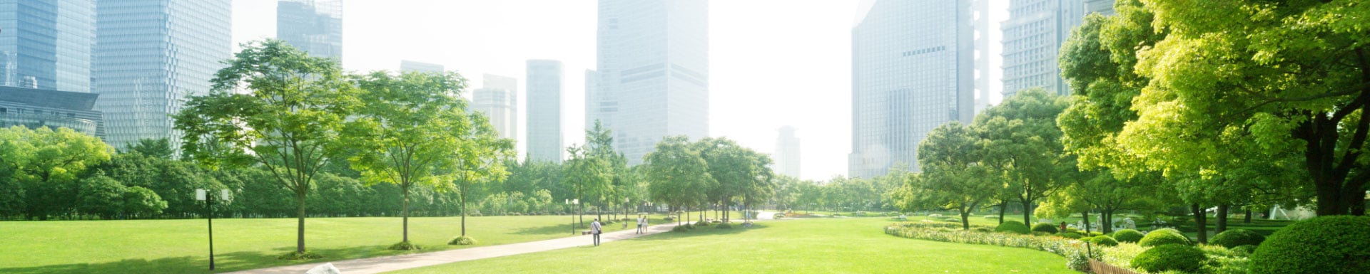 Grass Turf Solutions | About Us & More - StrathAyr