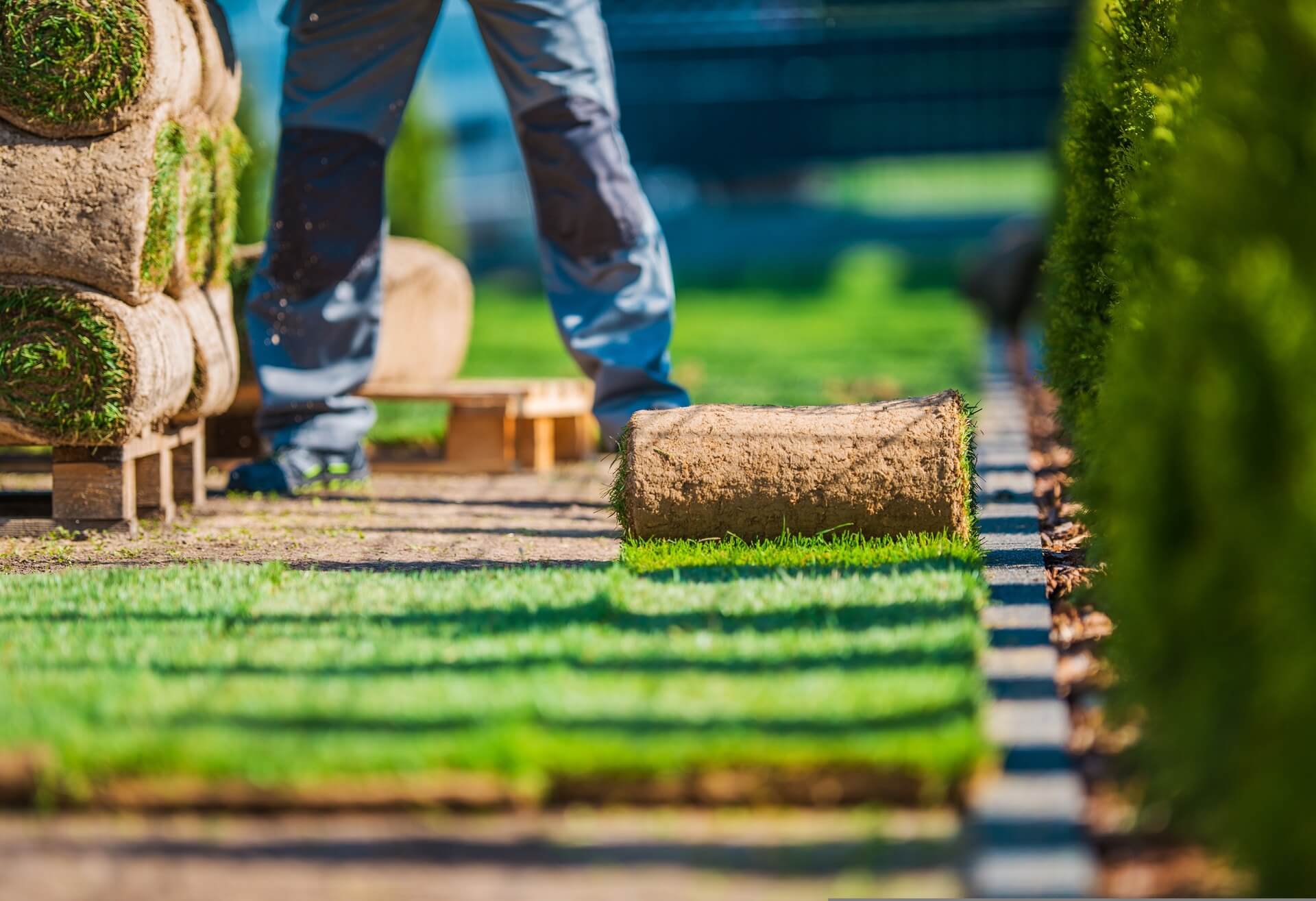Sustainable Approaches to Turf Management in Australia - StrathAyr