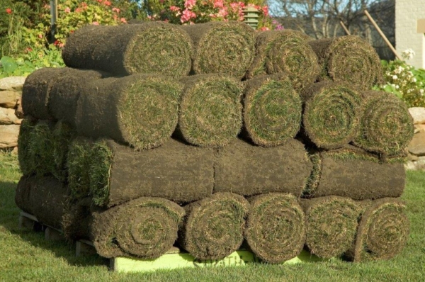 Instant Turf & Grass Turf Solutions | Home - StrathAyr